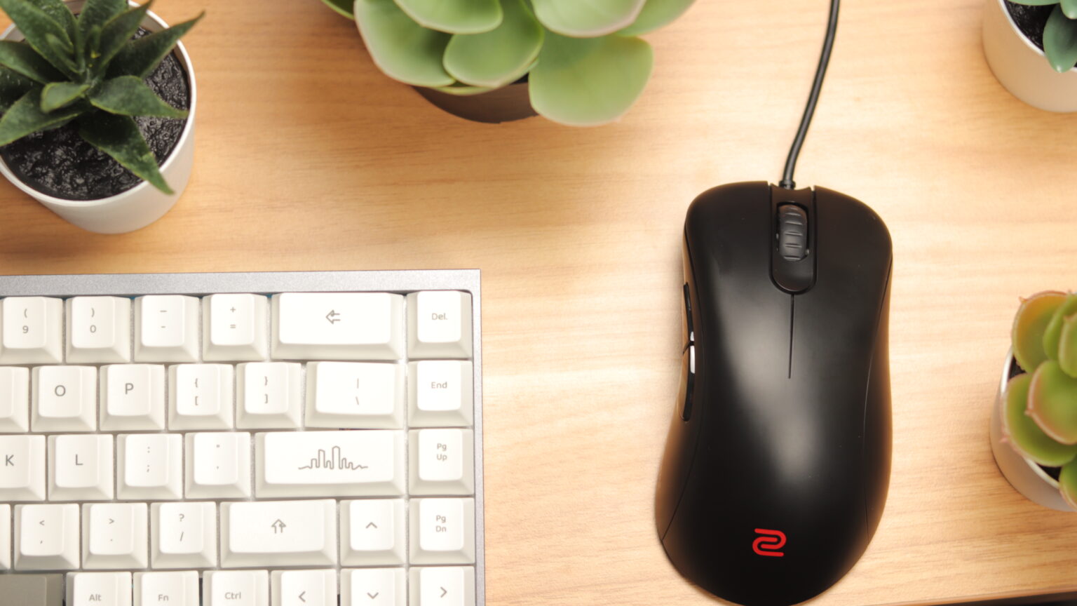 BenQ EC2 Review: A Fantastic Gaming Mouse For FPS and More