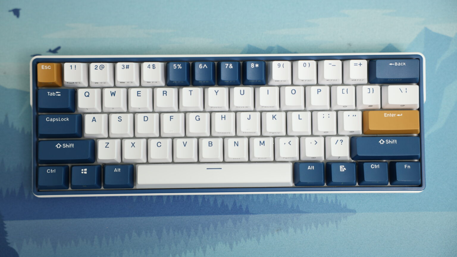 Royal Kludge RK61 Plus: An Updated and Revamped Version of a Highly ...